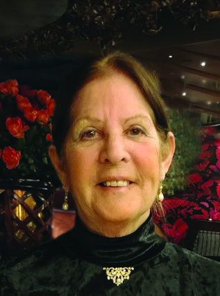 Lise Rochette Ménard M.s.c. Cpa