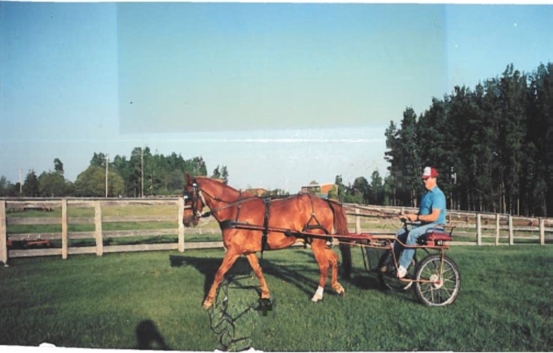 Alfred Patrick Rupert