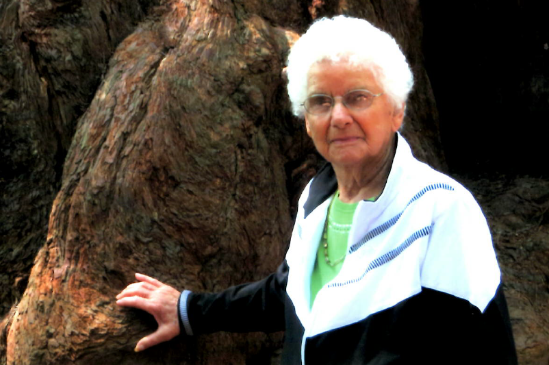 Viola Almira Fawcett Robinson