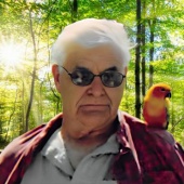 Robert Poulin