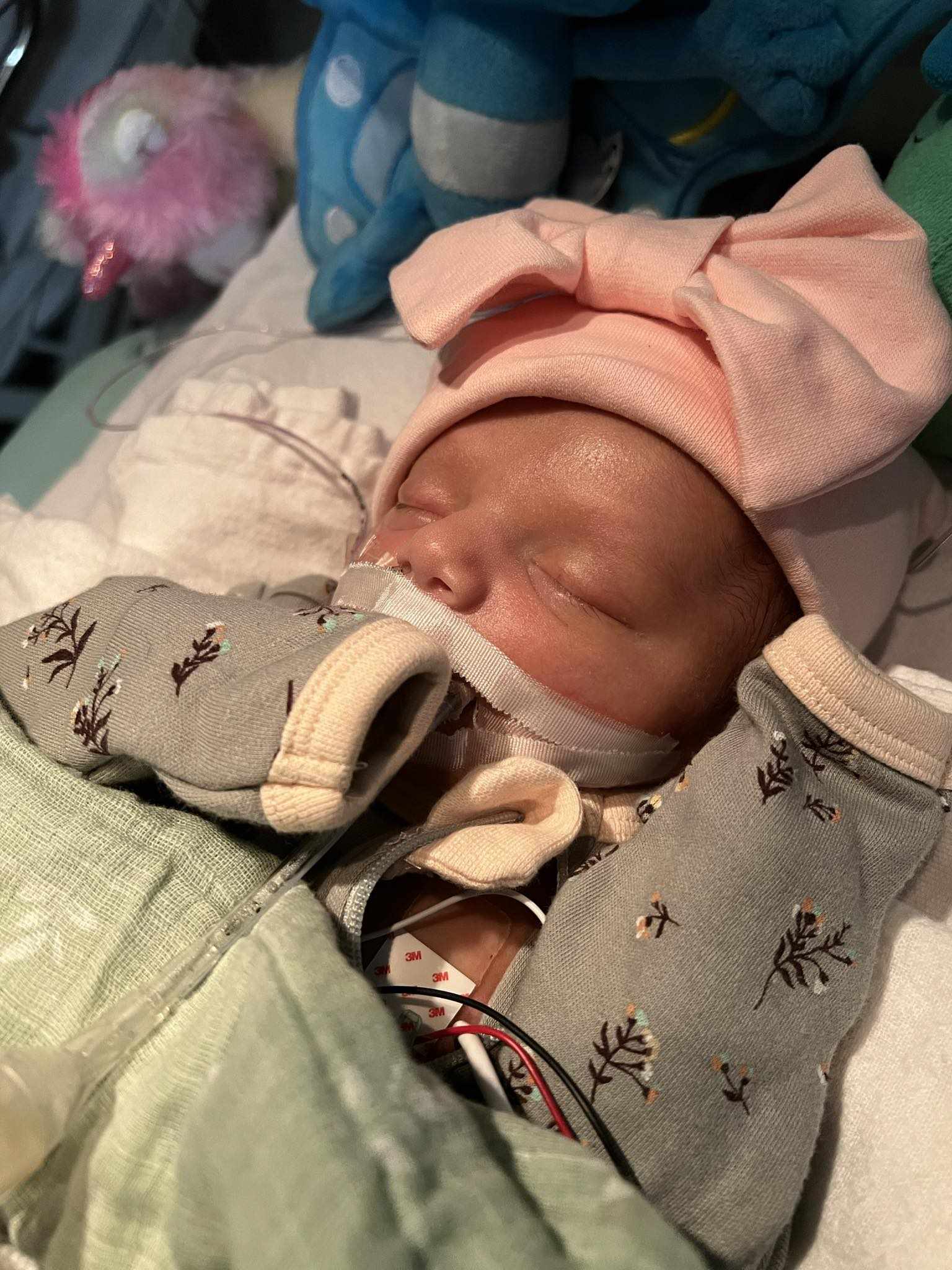 Bébé Julia Lefebvre