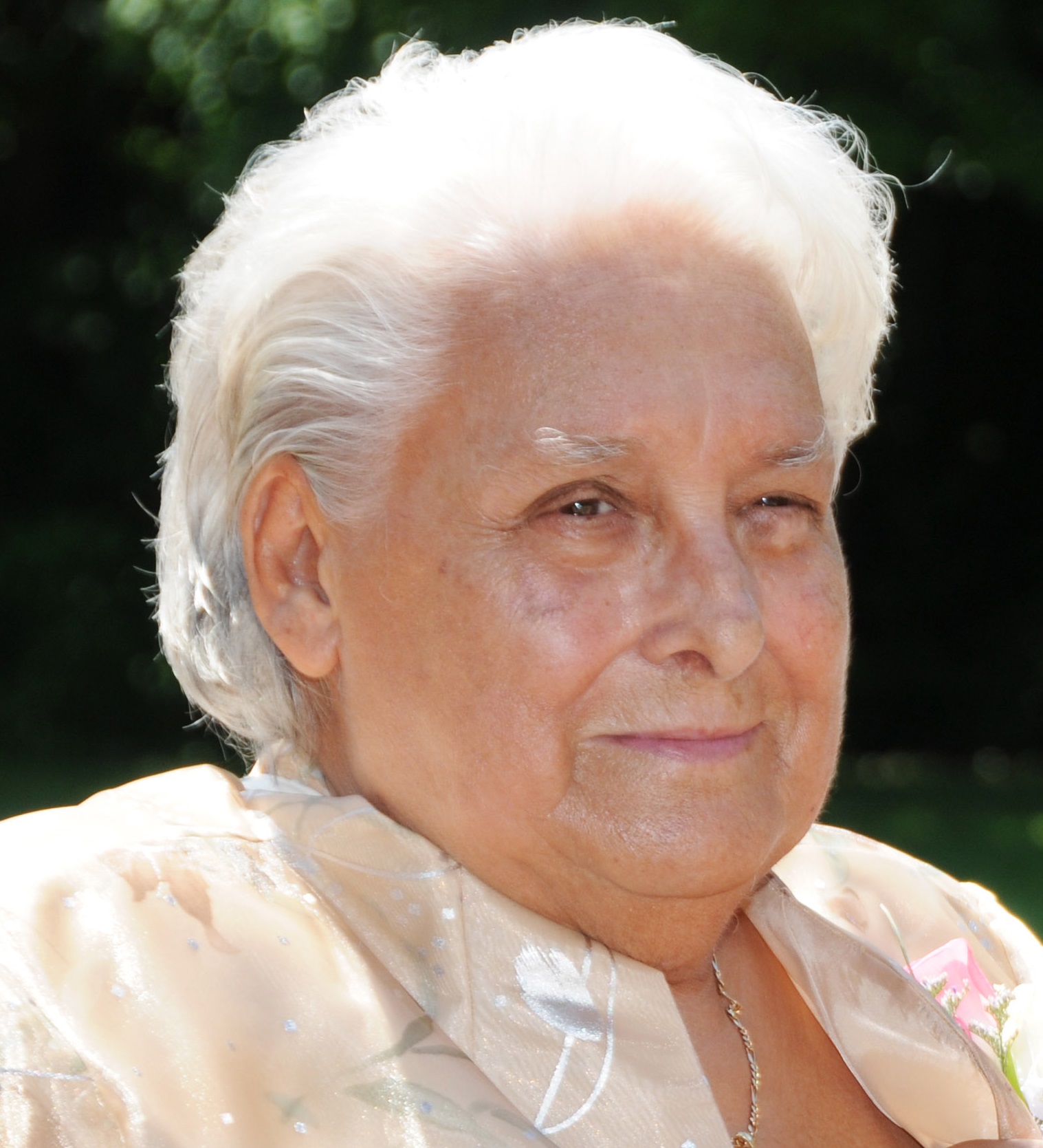 Raymonde Lampron Neas